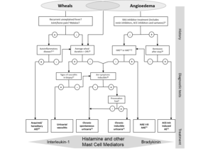 Urticaria – DLS | Dansk Lungemedicinsk Selskab