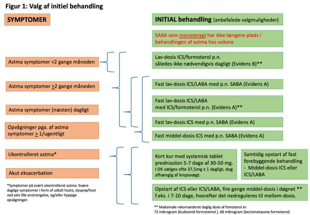 Astma – Monitorering og behandling af mild til moderat astma – DLS ...