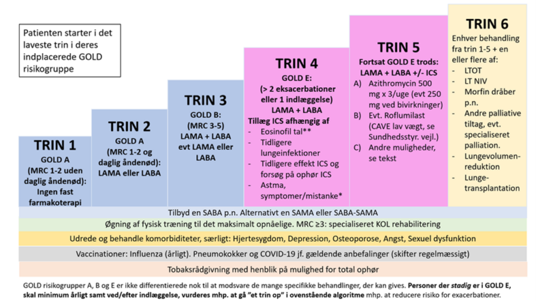 KOL – Behandling i stabil fase – DLS | Dansk Lungemedicinsk Selskab